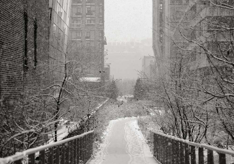 Why Is Winter the Best Time to Start Laser Hair Removal Treatments ...